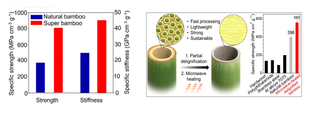 Emerging Materials - Transparent wood composite, a clear alternative to ...