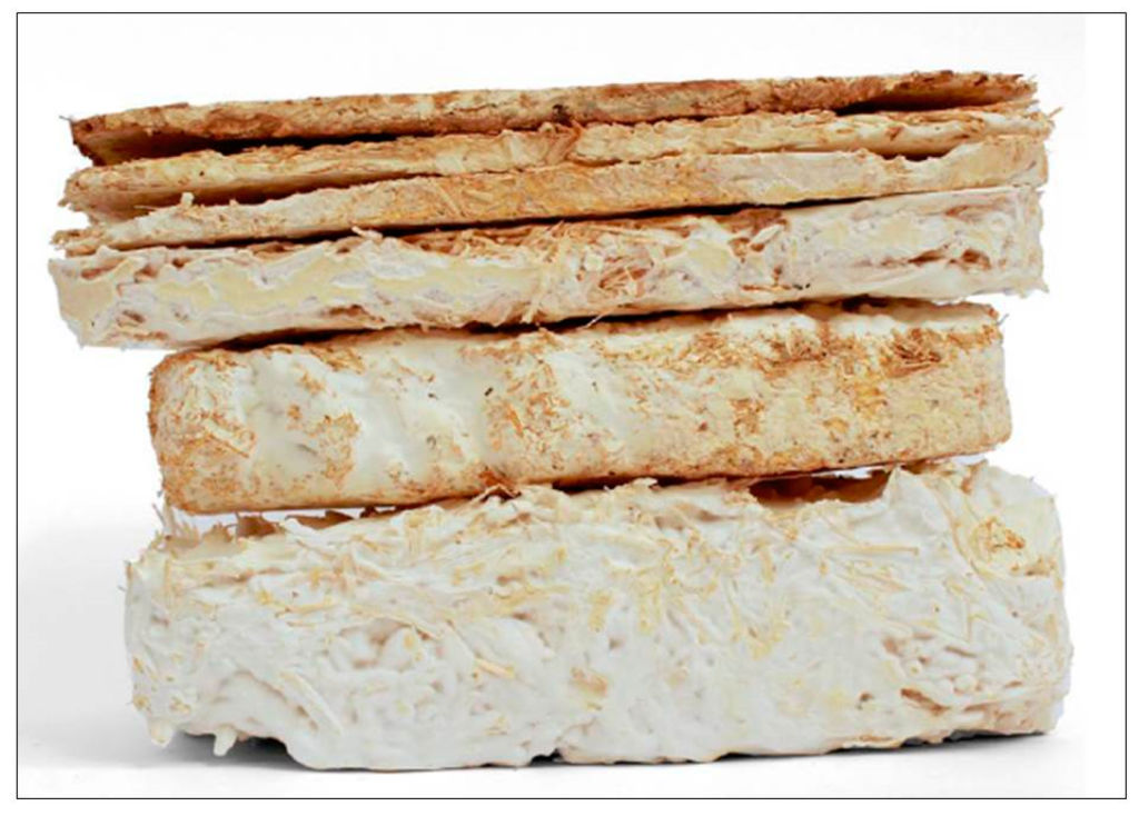 Mycelium Materials: Fantastic Fungal Innovations will Fungal Composites ...