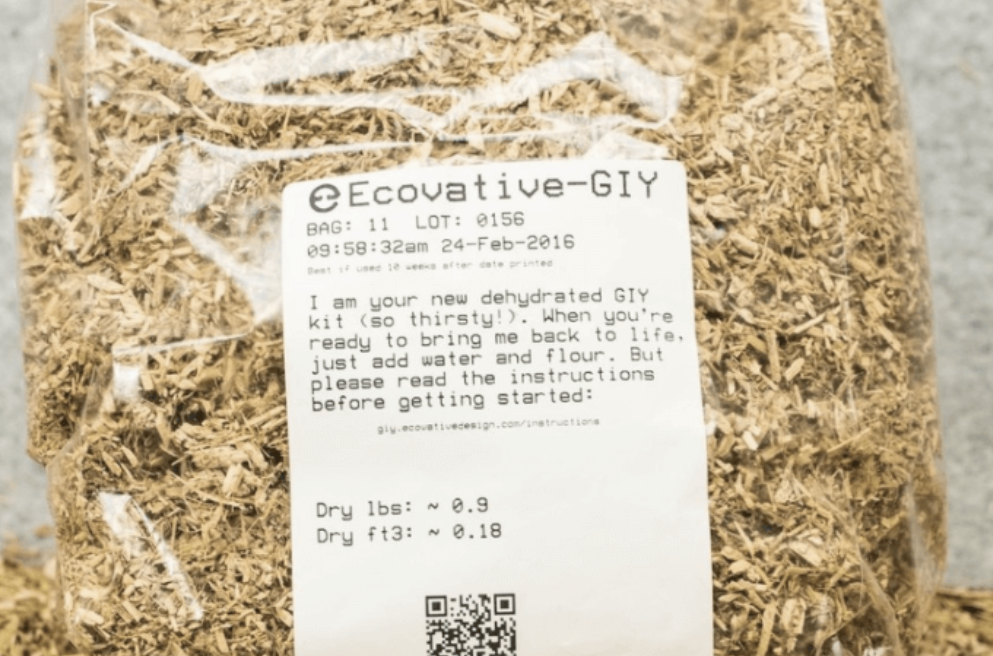 Mycelium Materials: Fantastic Fungal Innovations will Fungal Composites ...