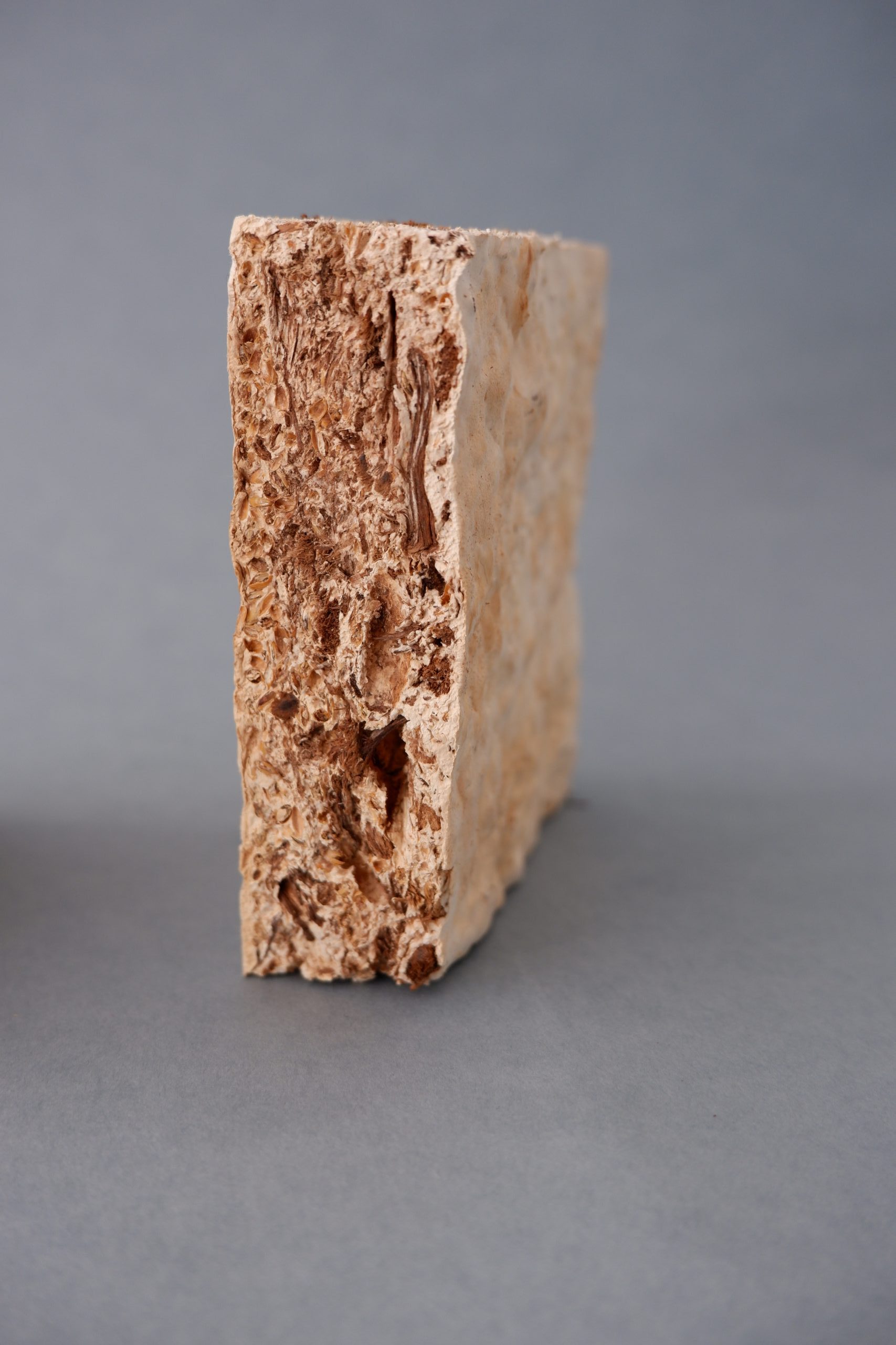 Mycelium Materials: Fantastic Fungal Innovations will Fungal Composites ...